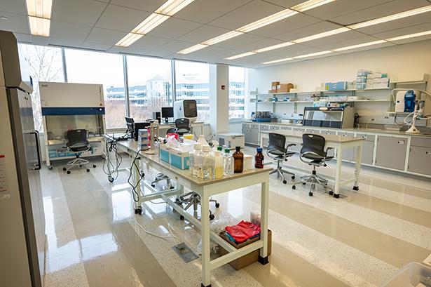 New Certified COVID-19 Testing Lab Opens at Kean - Kean University
