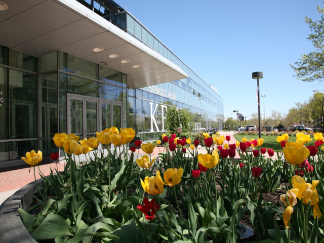 Colleges and Schools | Kean University