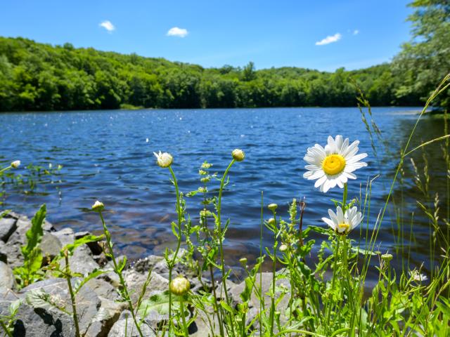 Kean Skylands Pre-College Summer Programs | Kean University