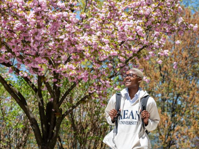 ‘Trees for Schools’ Grant Will Expand Kean University Tree Canopy ...